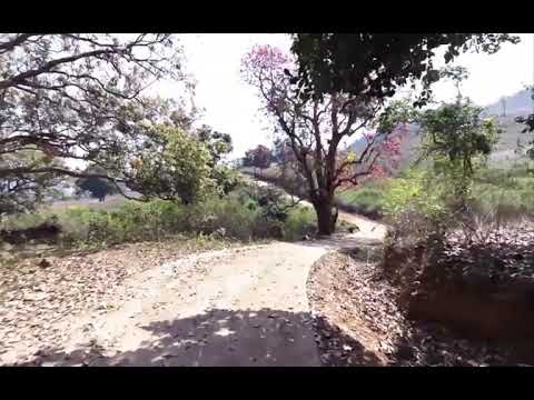 Youth Dormitory or Mandaghar of the Juang Tribe - YouTube