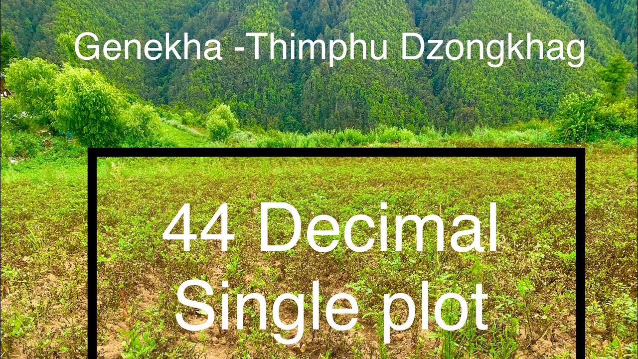 Bhutan -Thimphu-Genekha Land for sale at T-Rank Estate property ...