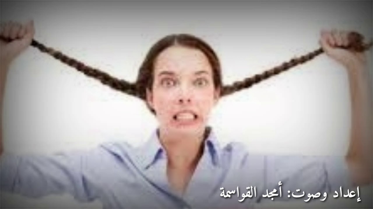 زنقة الكلاب من أين أتى المصطلح؟ Youtube