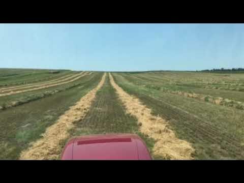 Raking and Baling 2nd Cut Alfalfa. Been Too Long Friends - YouTube