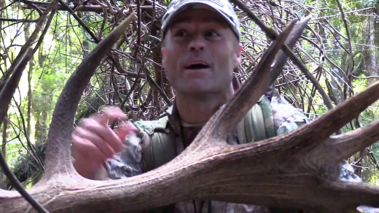 Spartan Port New Zealand Red Stag Bow Kill - YouTube