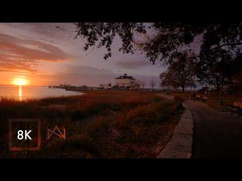 Relaxing Walk in Charleston South Carolina | Nature Sounds at Waterfront Park 8K HDR