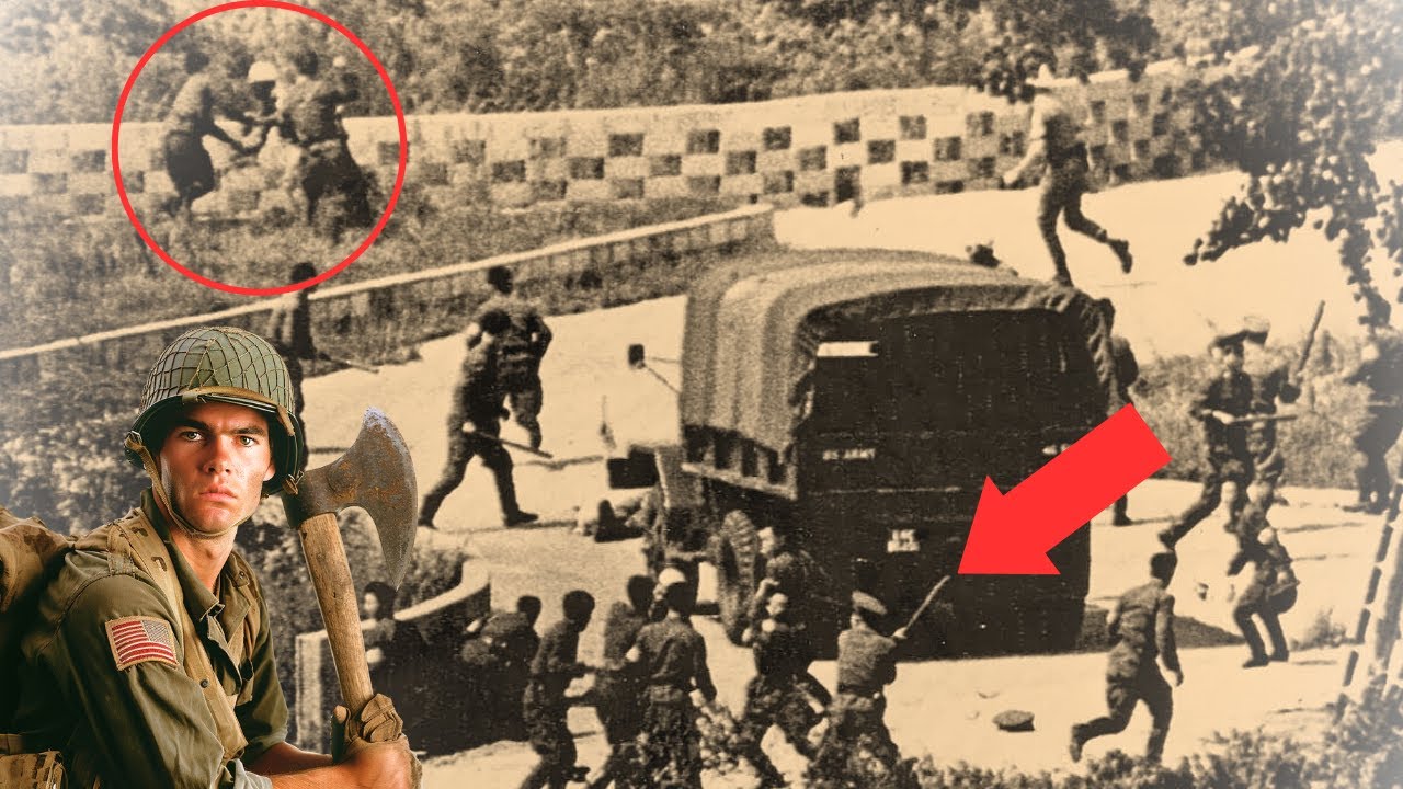 Operation Paul Bunyan: The Brink of War in the DMZ - YouTube