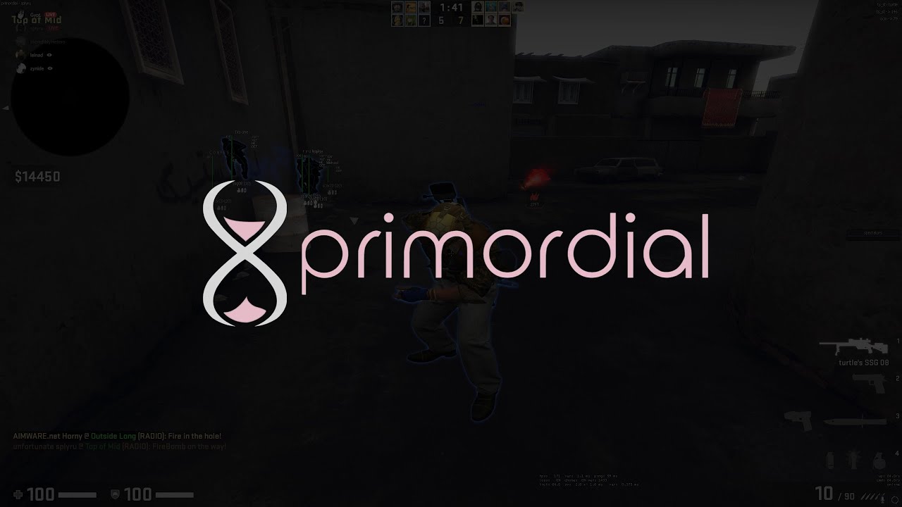 [CSGO] primordial.dev BETA highlights - YouTube