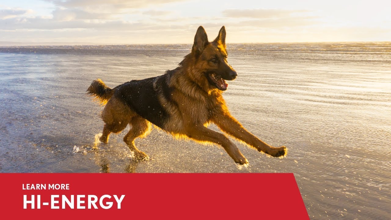 Next Level Hi-Energy - YouTube