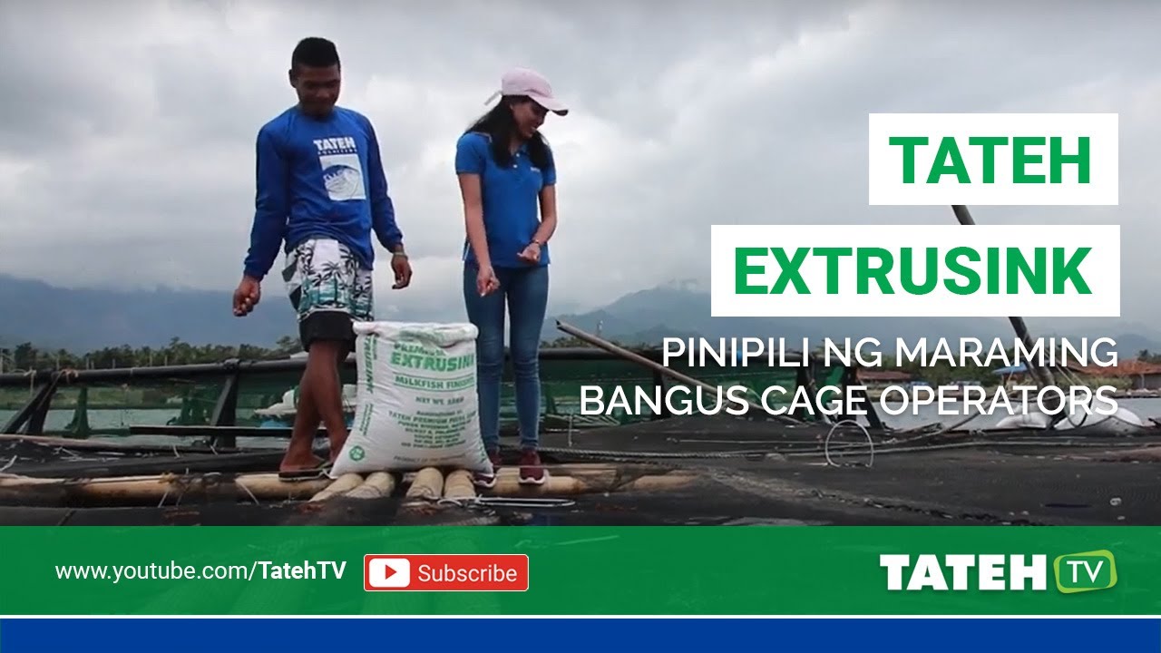 Tateh ExtruSink Feeds: Bakit Pinipili ng Maraming Bangus Cage Operator ...
