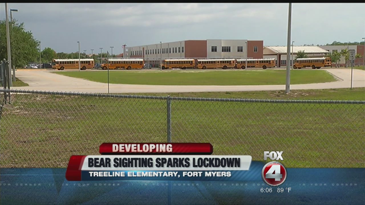 Bear sighting forces lockdown at Treeline Elementary - YouTube