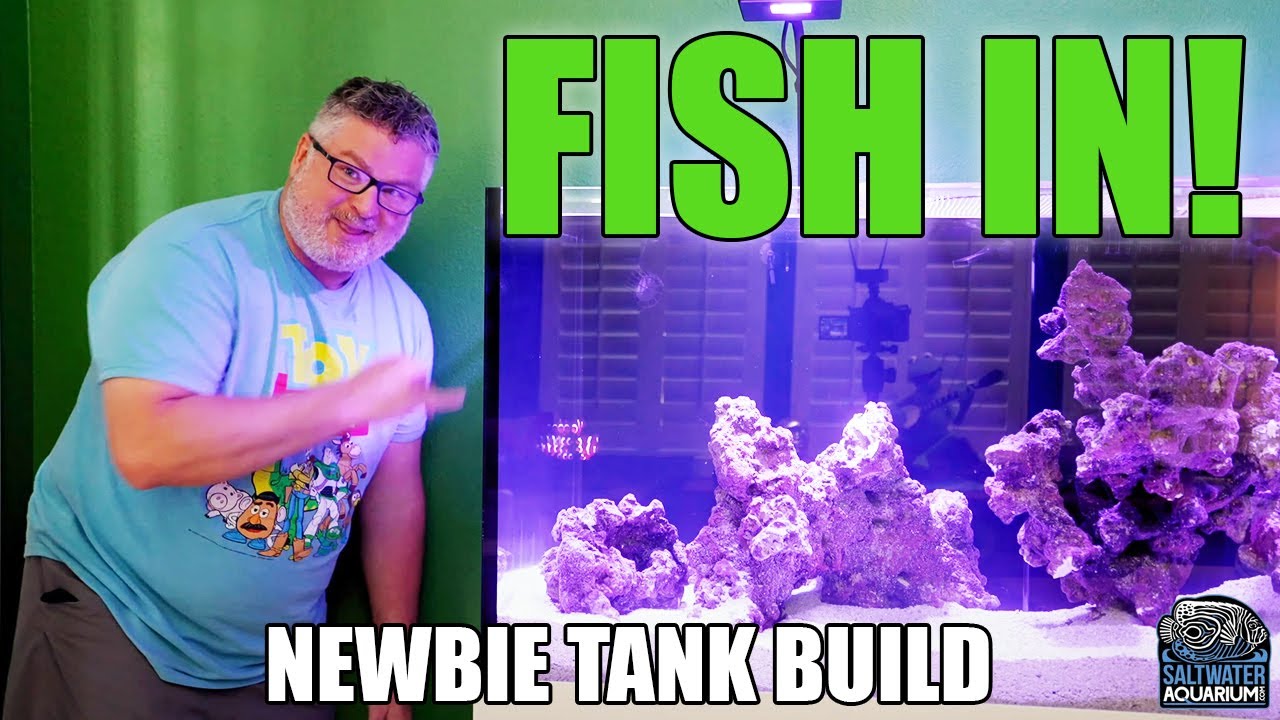 New Reefer JIMMY Fills his First Reef Tank & Adds Some Fish to Get ...