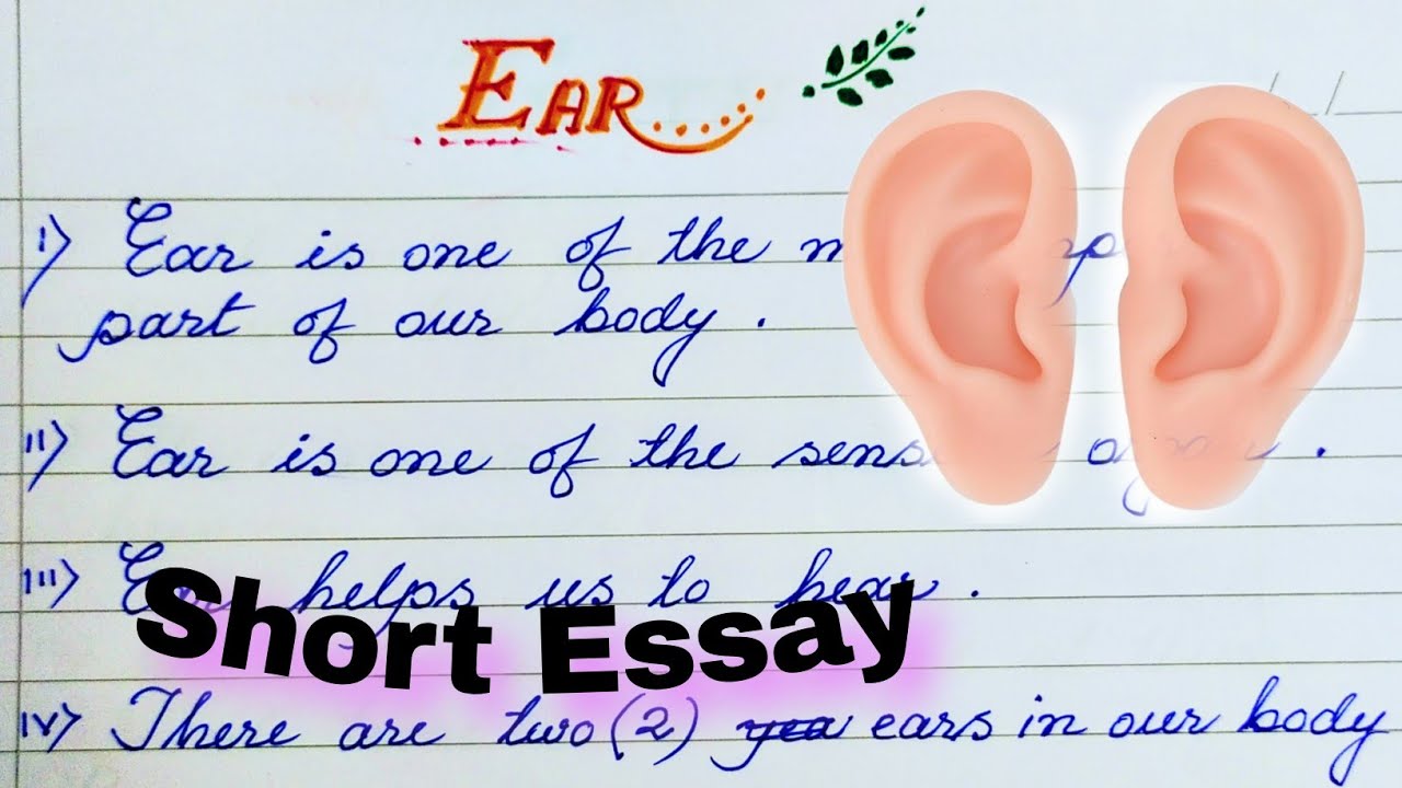 Ear essay || Essay on ear || Few lines on ear || 10 lines on ear ...