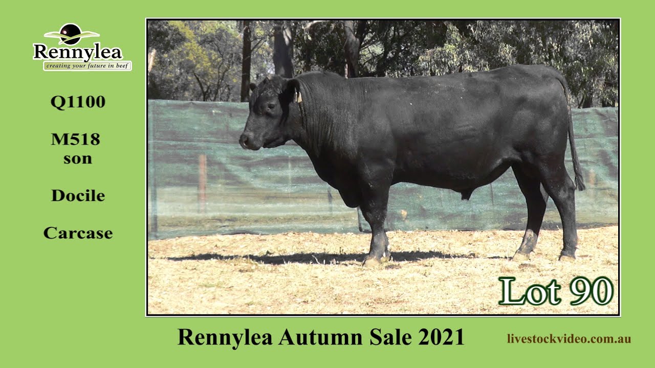 Lot 90 Rennylea Autumn 2021 - YouTube