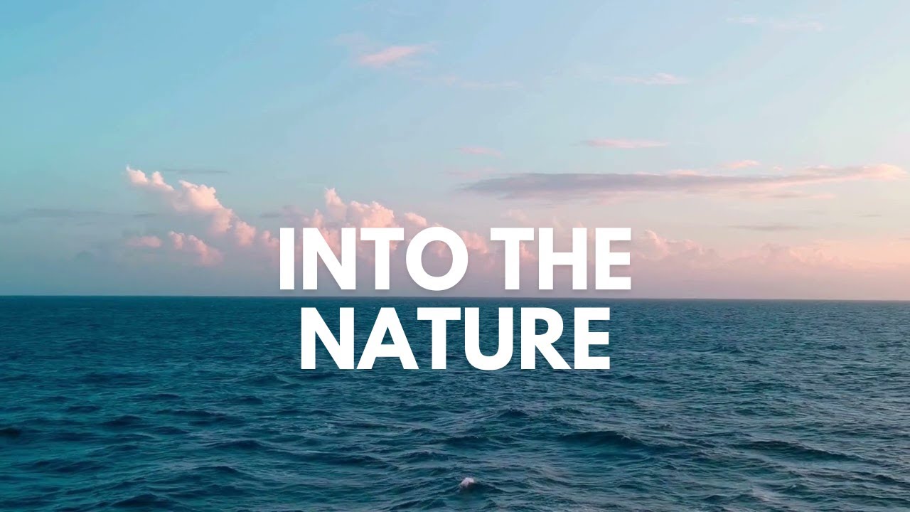 Gentle Ocean Waves Sound | Color Therapy Screen |#meditation #rain # ...