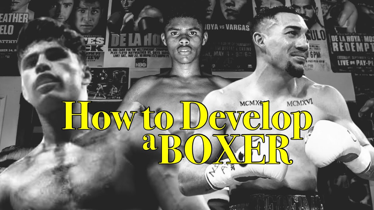 Match Making | How to Properly Develop a Boxer - YouTube