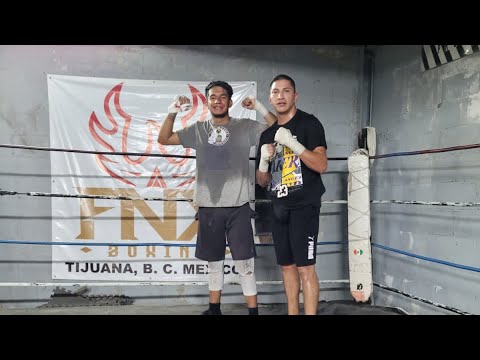 Día de sparring en el gym fénix boxing - YouTube