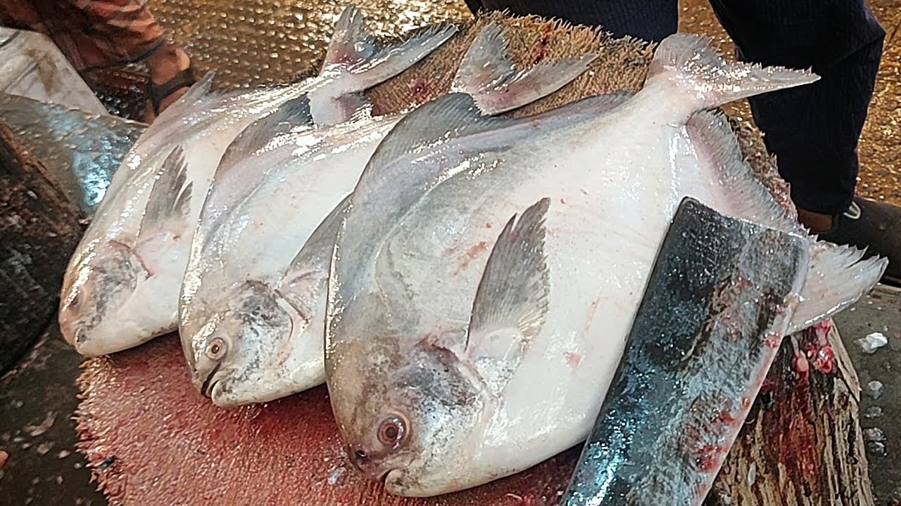 Amazing Fishing Cut | Big Pomfret Fish Cutting Skills Live In Fish ...