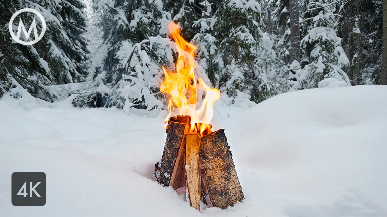 Snowy Campfire 🔥 ️ Winter Snowfall with Crisp Air and Crackling Fire ...