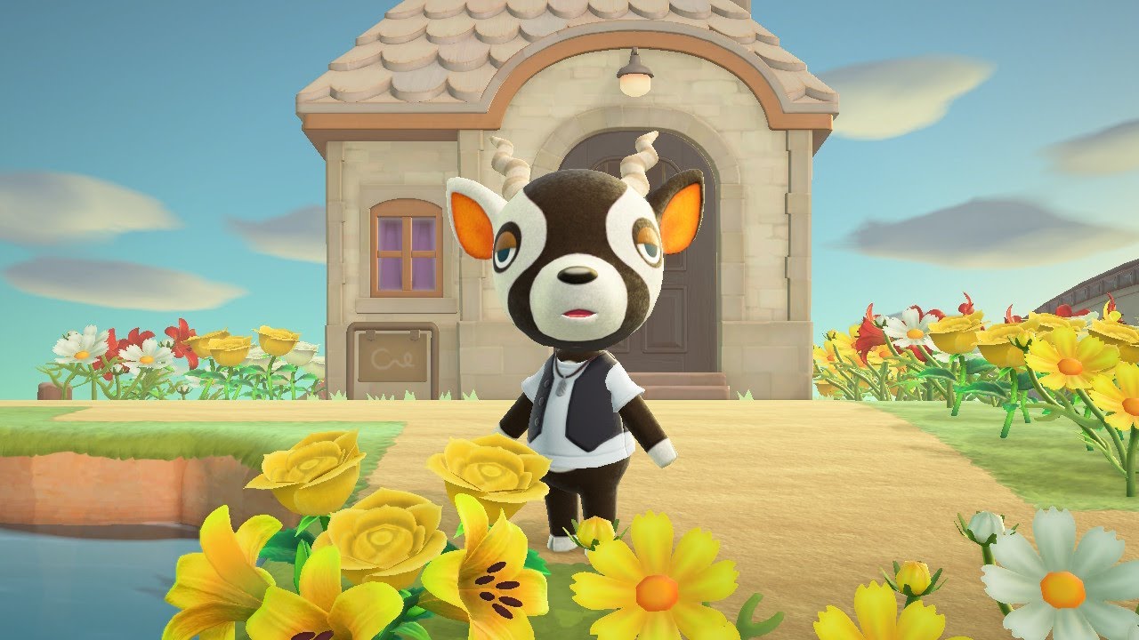 Zell - Animal Crossing New Horizons - YouTube