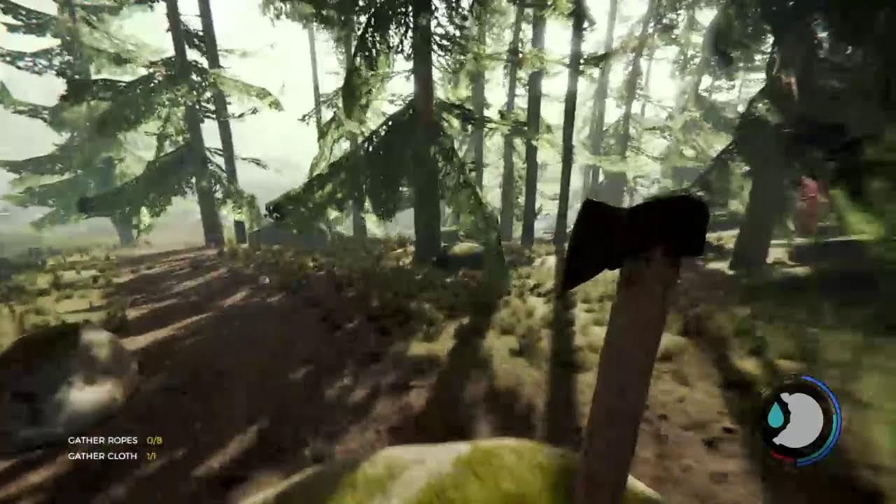The forest speedrun - YouTube