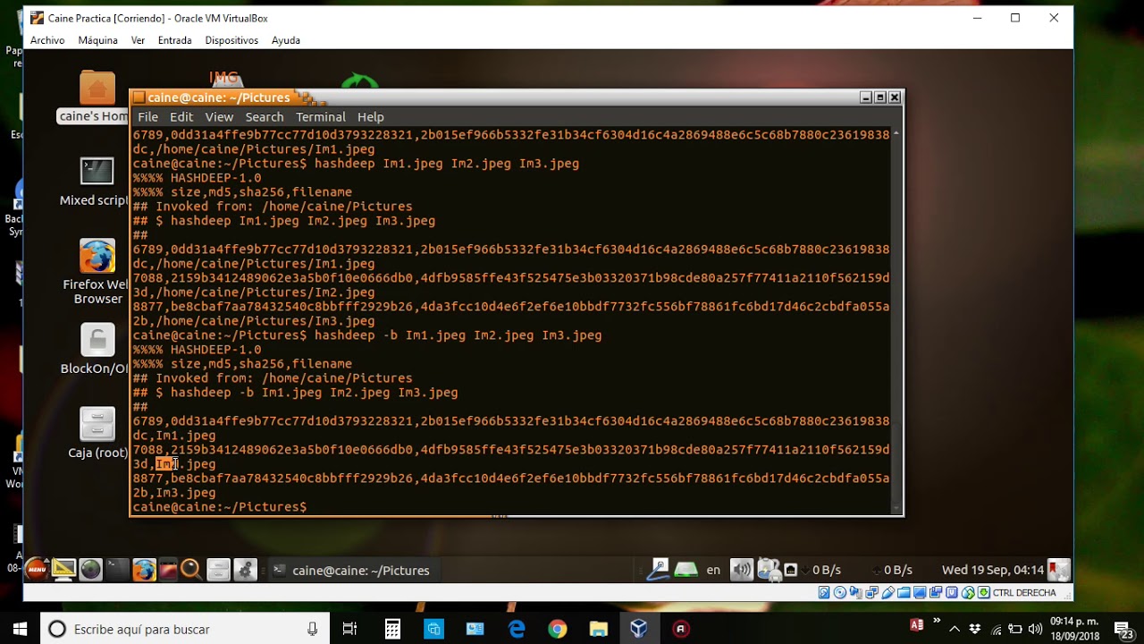 HASHDEEP Bbo - YouTube