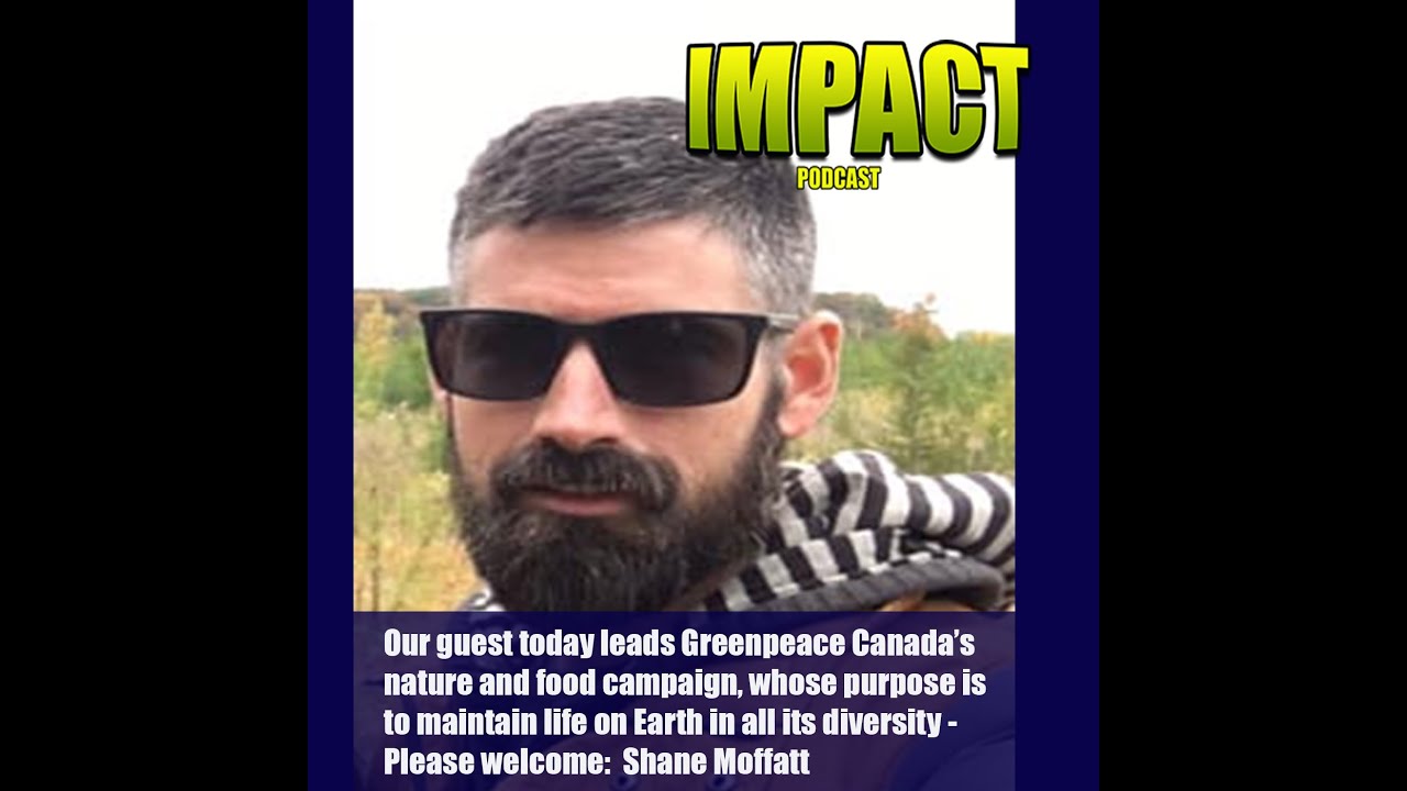 IMPACT Podcast - Shane Moffat - Greenpeace - YouTube