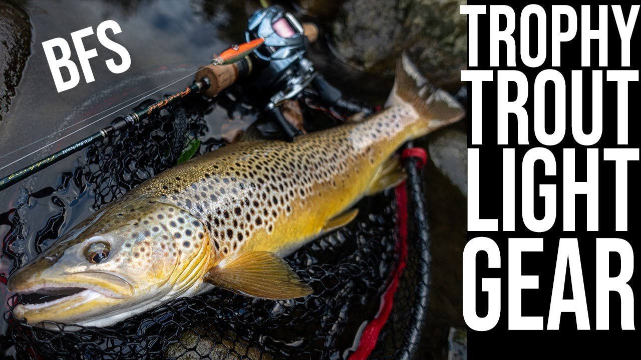 Trophy Brown Trout on Light Gear - BFS Fishing in Wales, UK. - YouTube