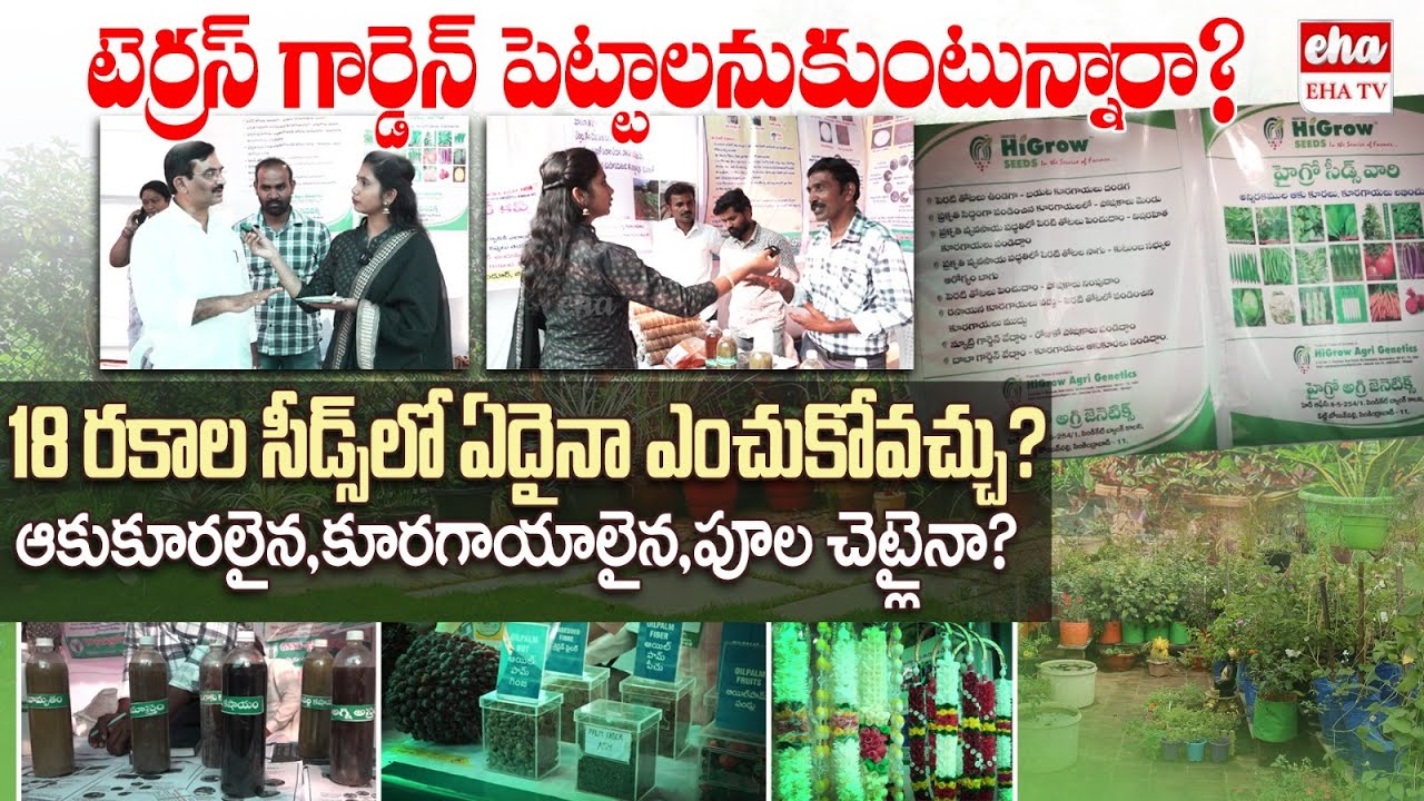 Grow Healthy & Organic | 18 Best Terrace Garden Seeds with Terrus | Anchor Kavya | Eha TV - YouTube