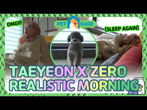 Taeyeon&Zero realistic healing morning vlog🌞 - YouTube