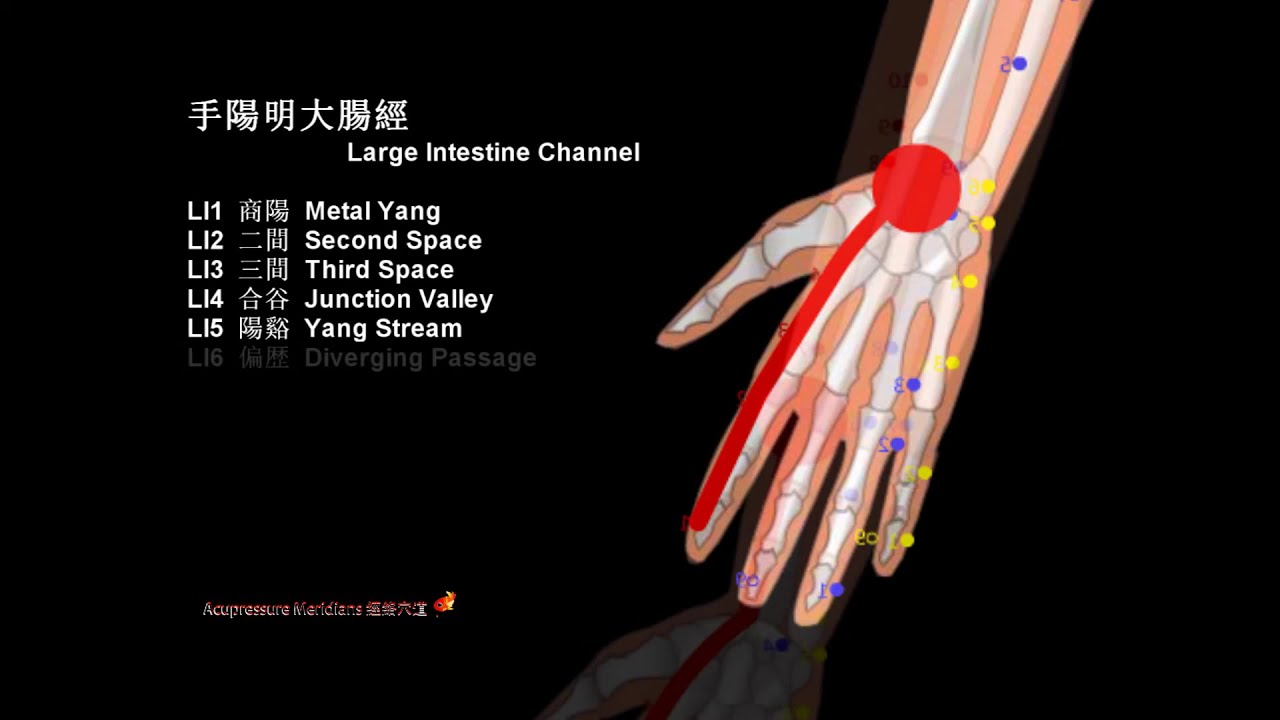 02_Large Intestine Meridian_Acupressure DIY - YouTube