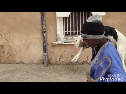 Adviser ft ceepee Comédie B7
