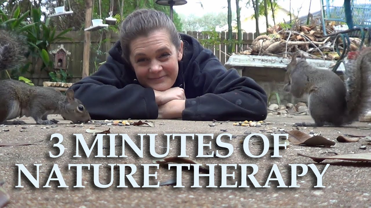3 minutes of squirrel therapy - YouTube