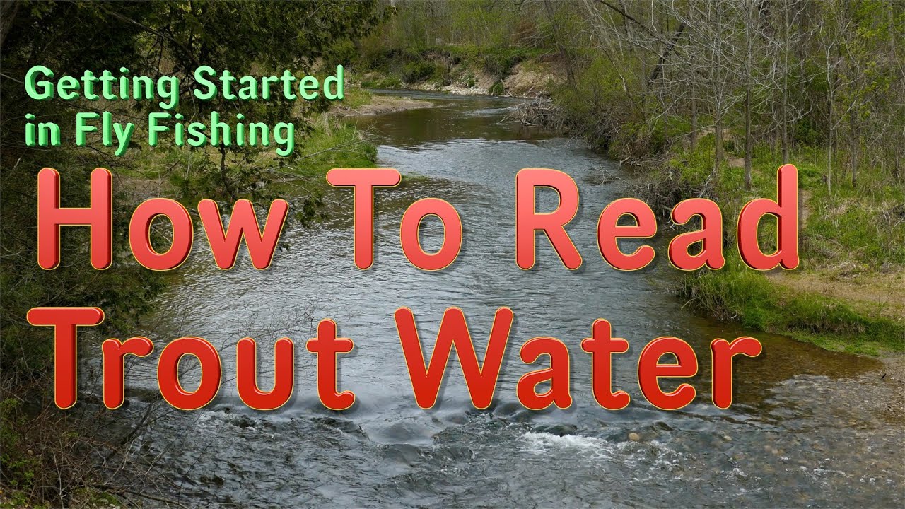Getting Started in Fly Fishing: How to Read Trout Water and Find Fish ...