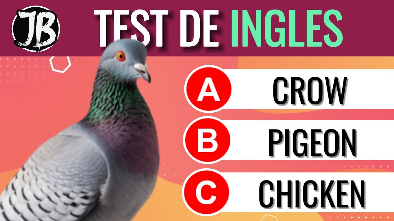 Test de Ingles 🤓🧠 Nivel Fácil - ¿Cuánto sabes de ingles? | JB Quiz ...