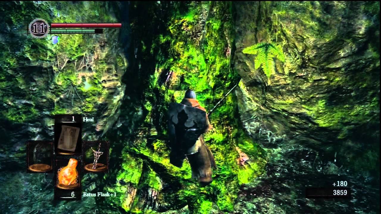 Dark Souls Darkroot Basin Farming - YouTube