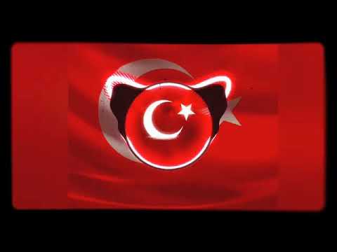 Remix Can Demir
