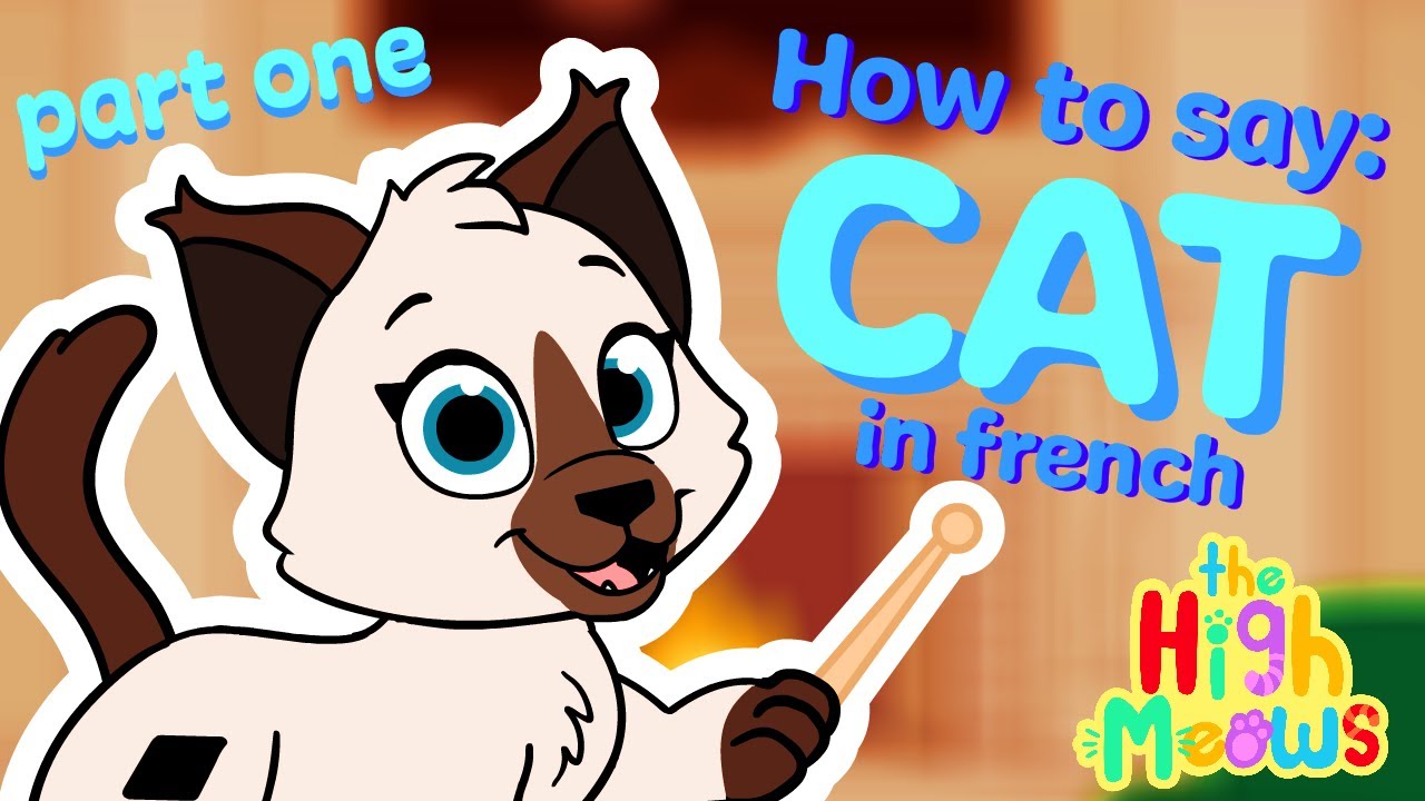 How To Say Cat In French Part 1 Adult Cat The High Meows French how-to-say-cat-in-french-part-1-adult-cat-the-high-meows-french