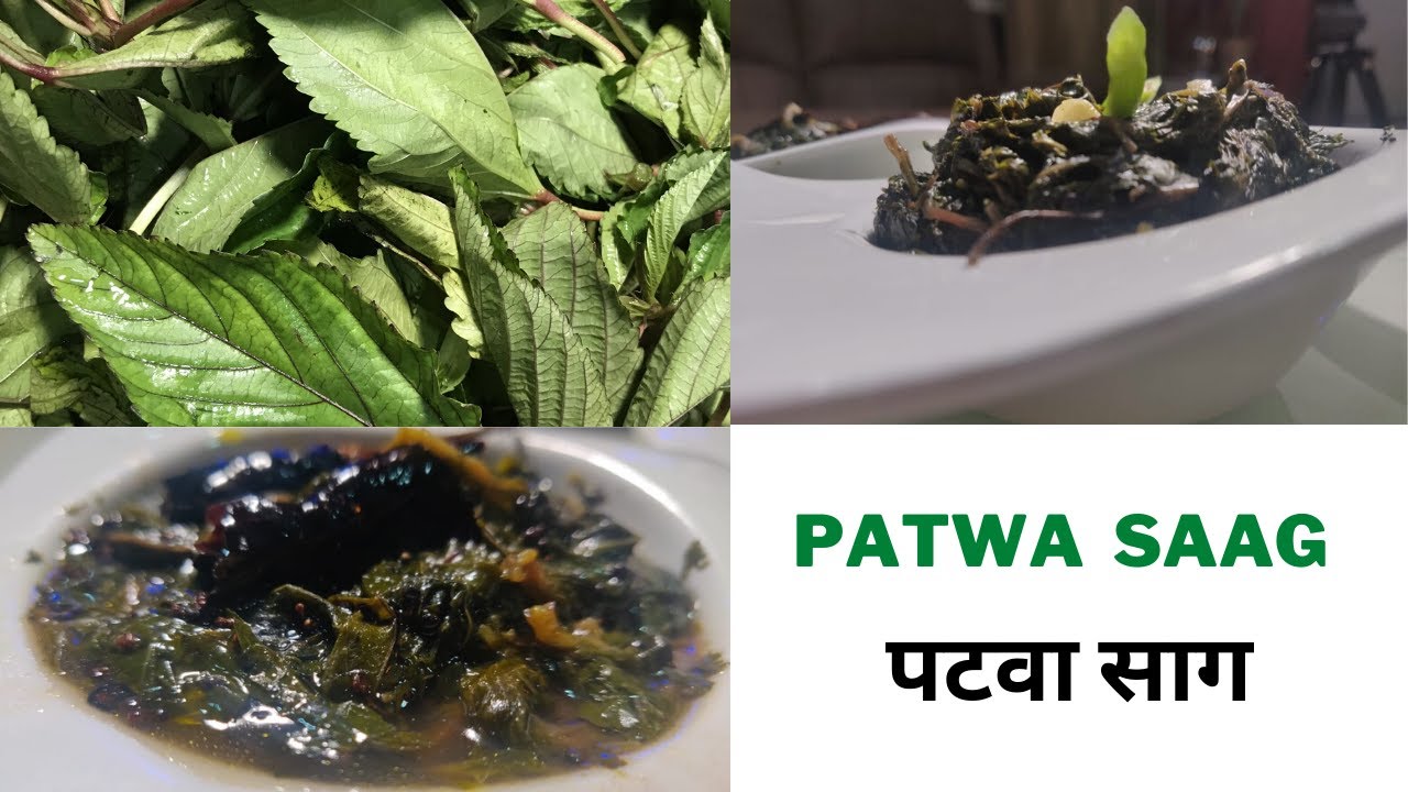 पटुआ साग / पटवा भाजी: पोषक तत्वों की खान | Patwa / Patua Ka Saag ...