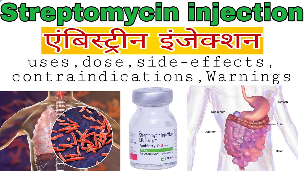 Streptomycin injection 0.75gm uses,dose,side-effects | Ambistryn ...