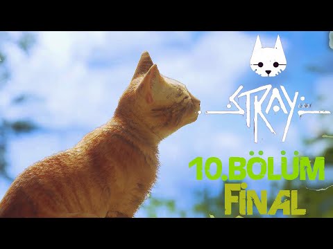 [FİNAL] ELVEDA KEDİCİK! - STRAY TÜRKÇE BÖLÜM 10