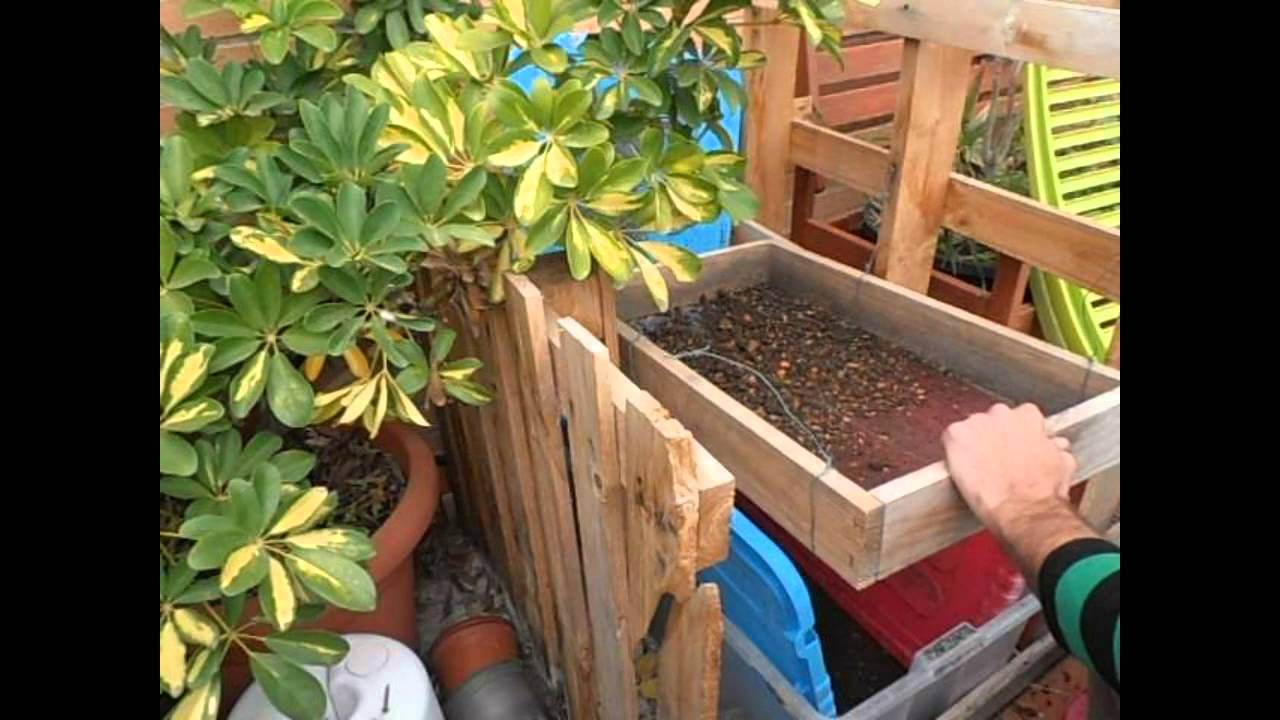 Vermicompostera casera 2 - YouTube