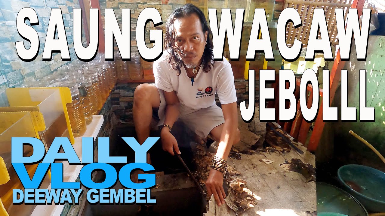 DAILY VLOG DEEWAY GEMBEL SAUNG WACAU JEBOL - YouTube