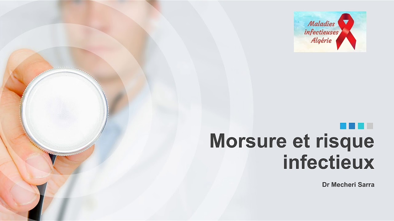 Morsure et risque infectieux - YouTube