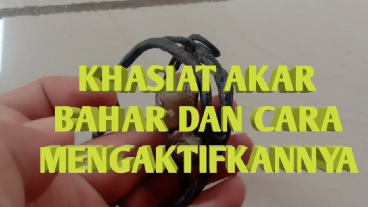 KHASIAT AKAR BAHAR DAN CARA MENGAKTIFKANNYA - YouTube