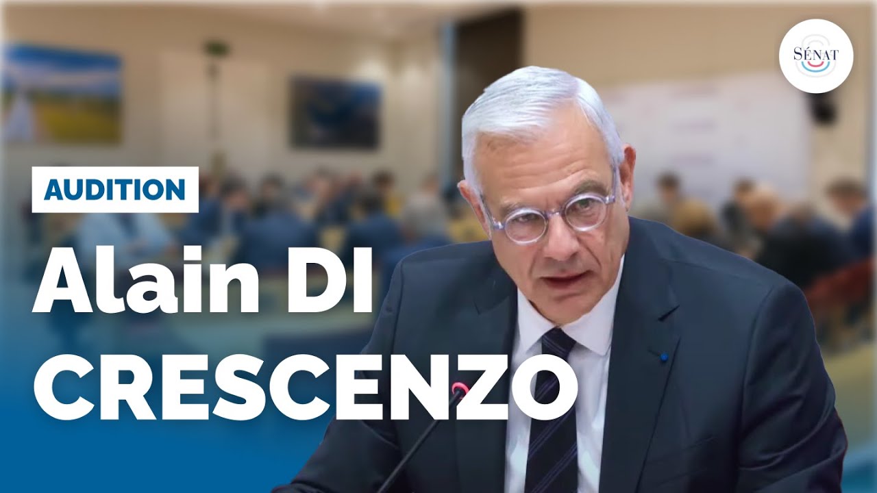 CCI France : audition d'Alain Di Crescenzo, président - YouTube