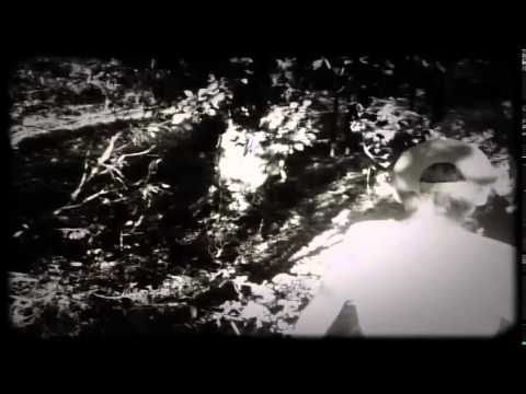 Wolfhound Trailer