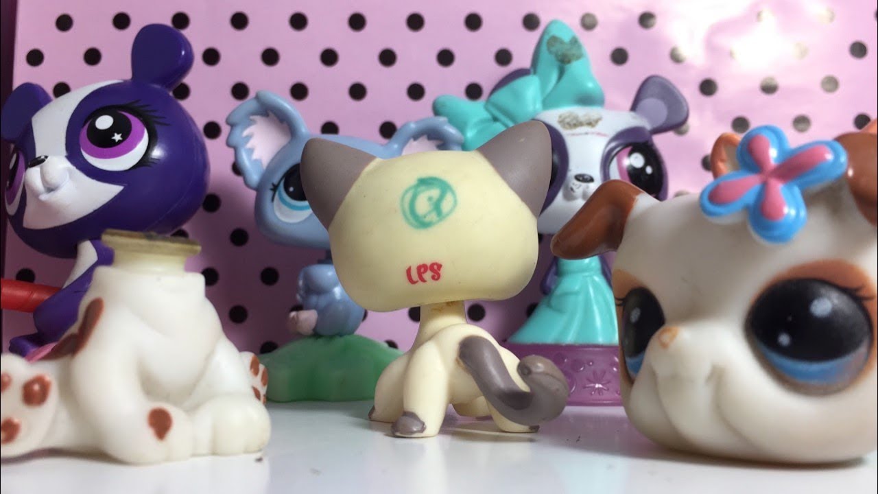 Lps Haul | was it worth the money?? - YouTube