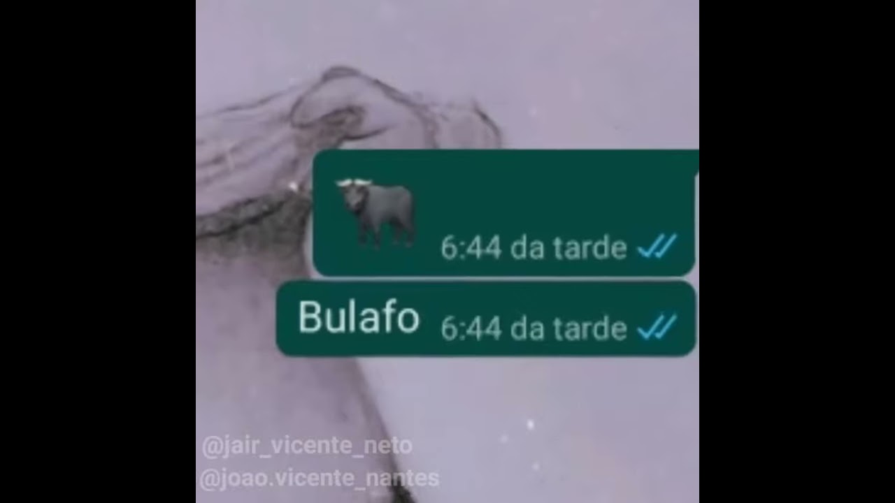 vacalo chirudo ( memes nomes de animais ) - YouTube