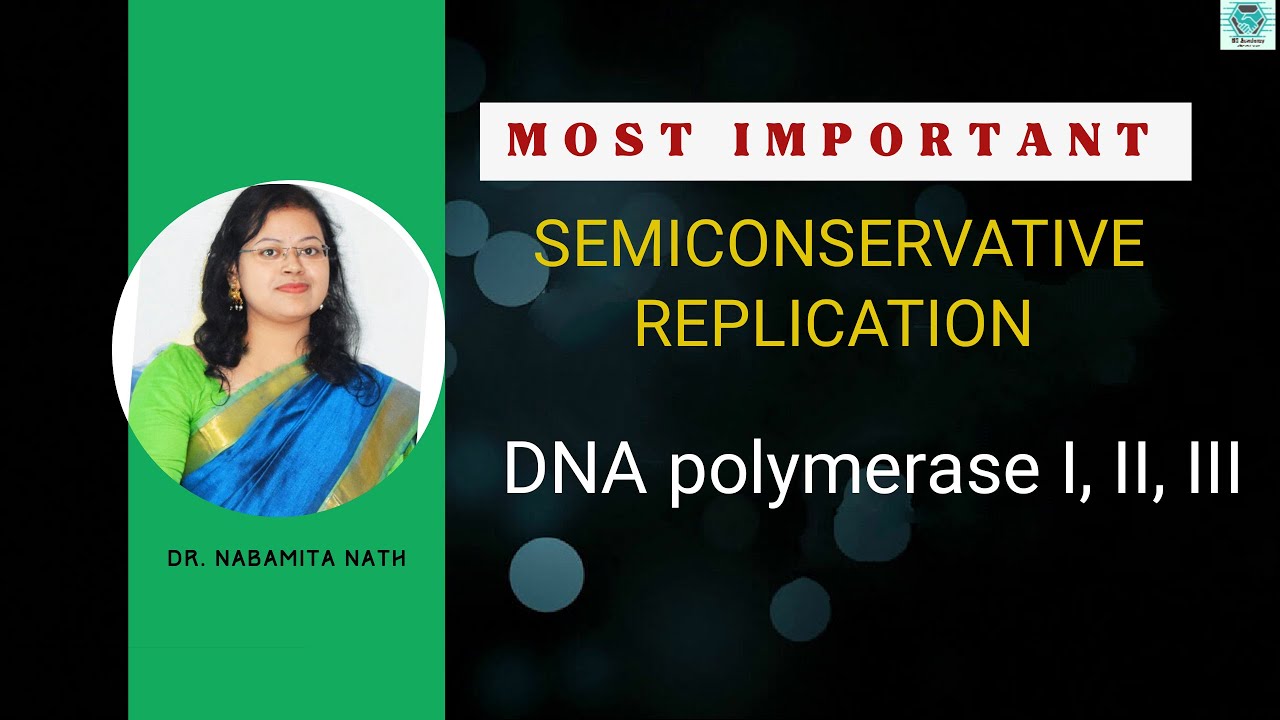 DNA replication, DNA polymerase I II III, semiconservative DNA replication - YouTube