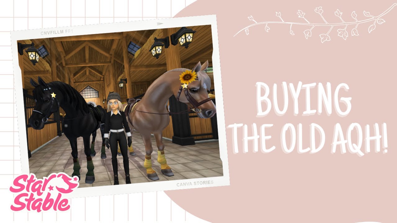 BUYING THE OLD AQH! (Before they leave FOREVER..) Star Stable Online ...