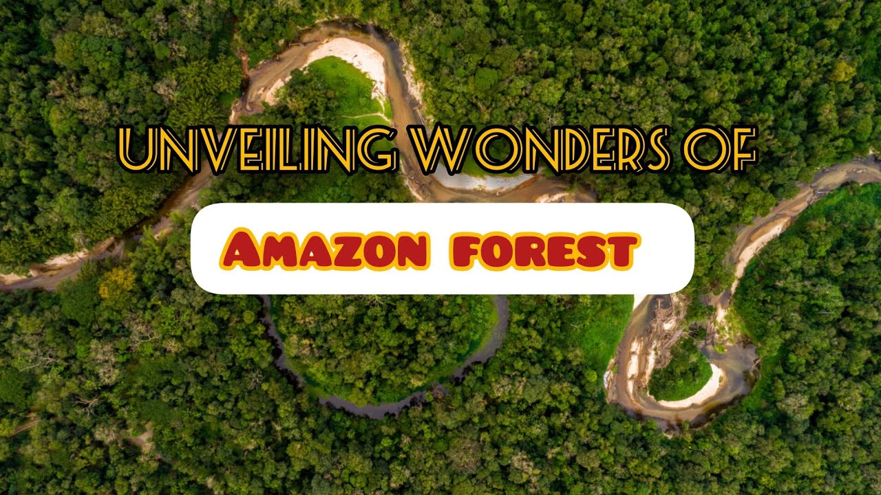 Amazon Rainforest|Explore|Learn with Hadi and Api - YouTube