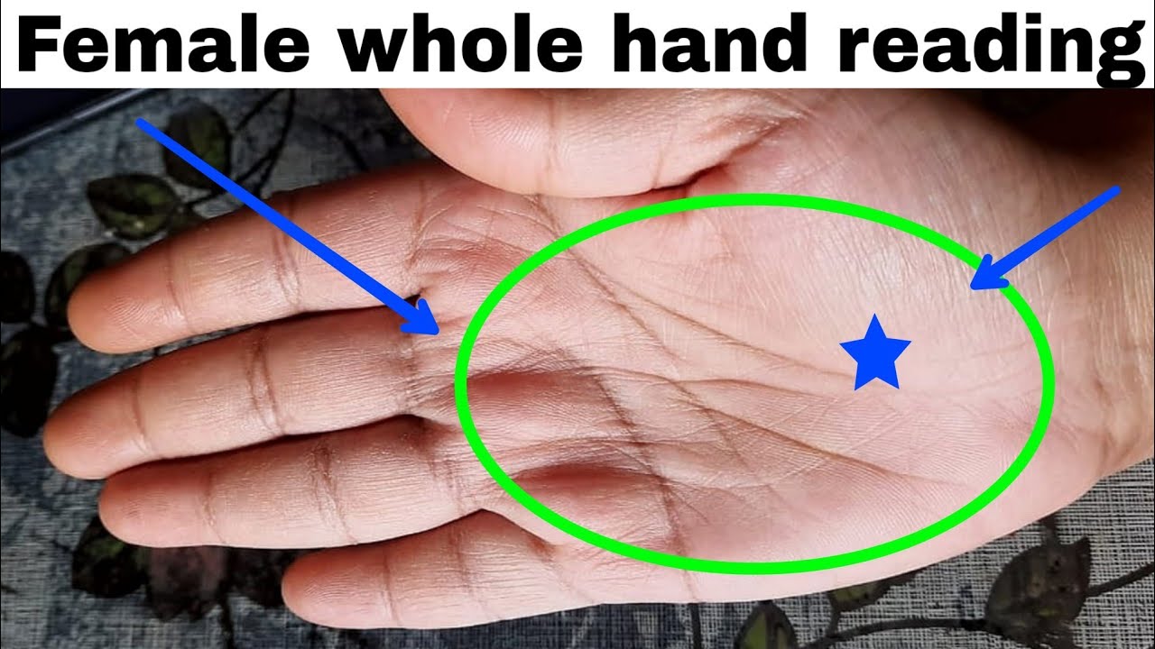 #hastrekha #palmistry !!! Female whole hand reading - पैसा ही पैसा (99 ...
