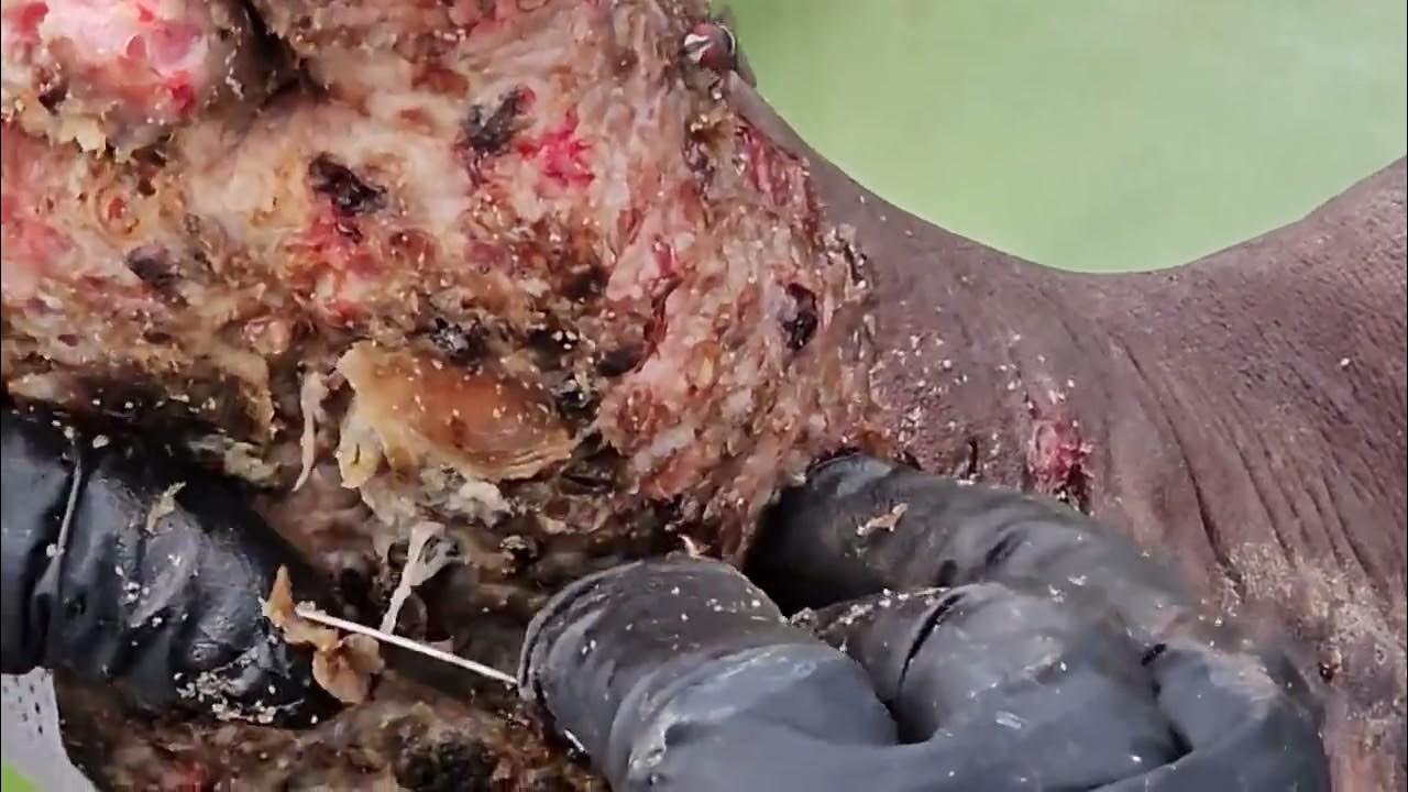 Amos's right foot jiggers #3 MOST JIGGERED FOOT IN 2024 Aug 1st 2024 - YouTube